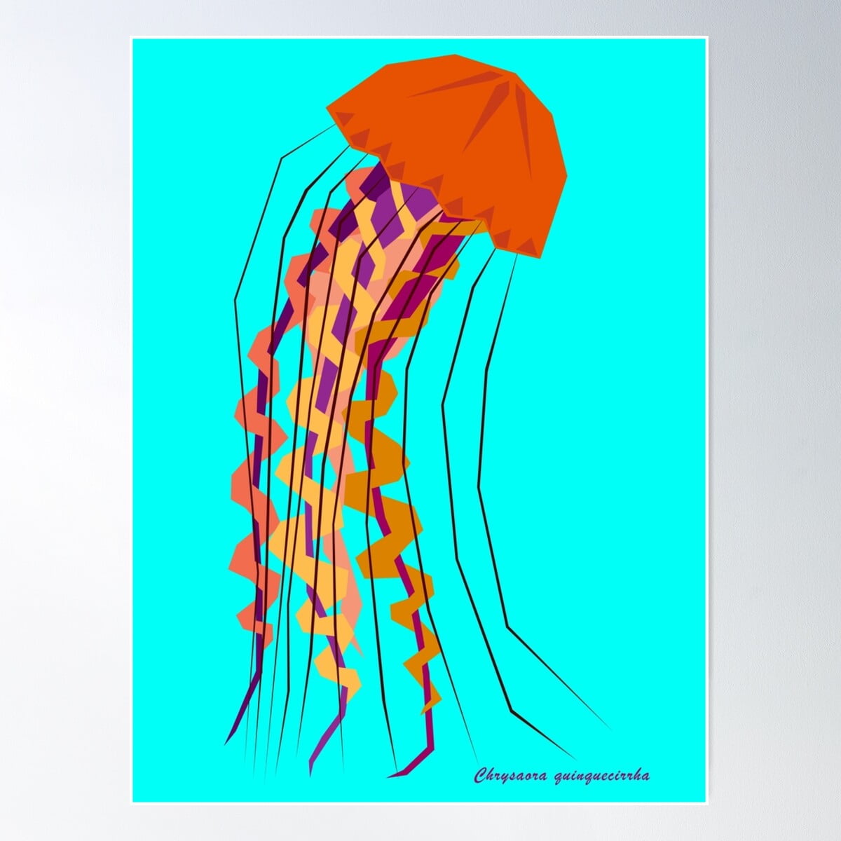 Jellyfish Geometric Art With Blue Background And Scientific Name Text ...
