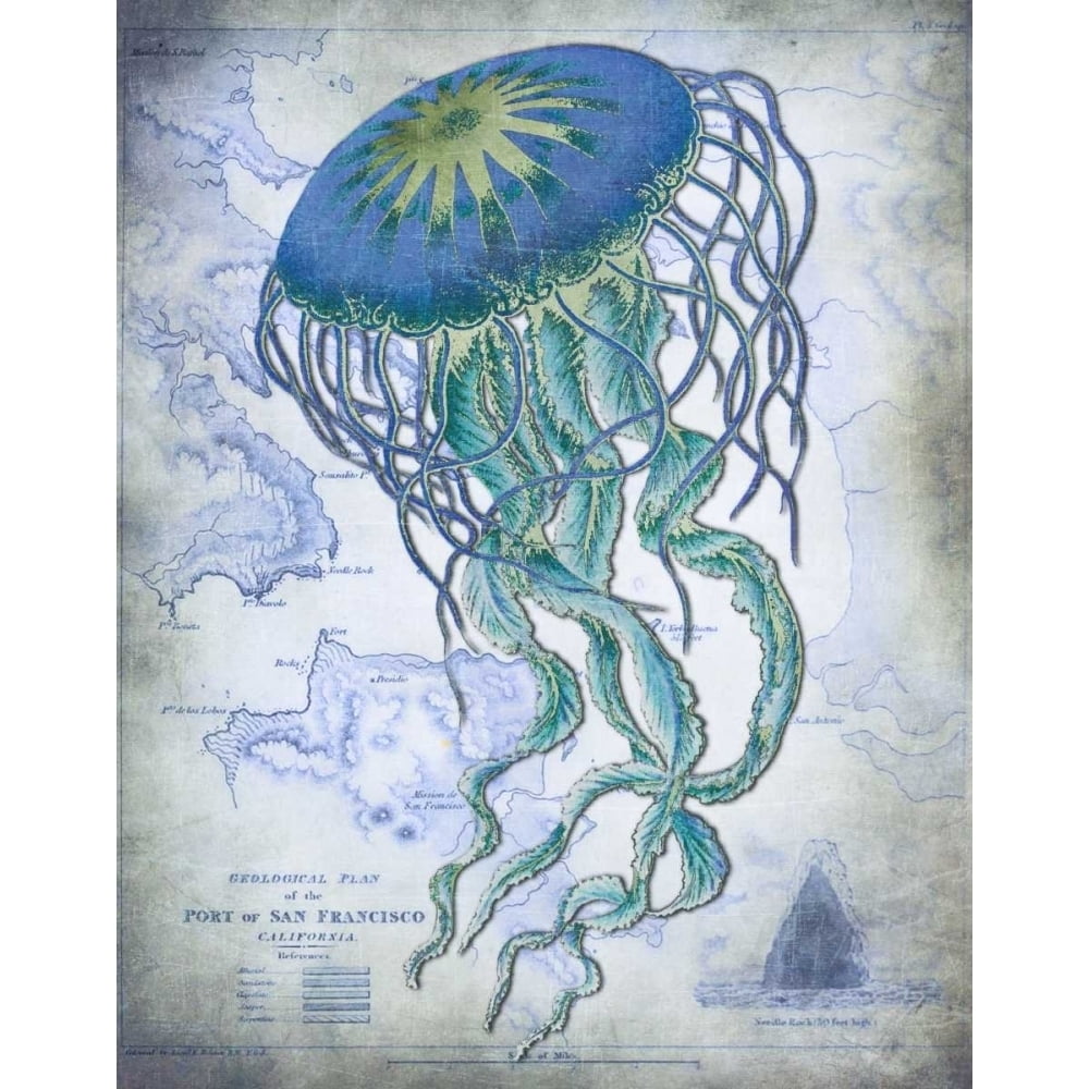 Jellyfish On image of Nautical Map Poster Print - Funky Fab - Walmart.com