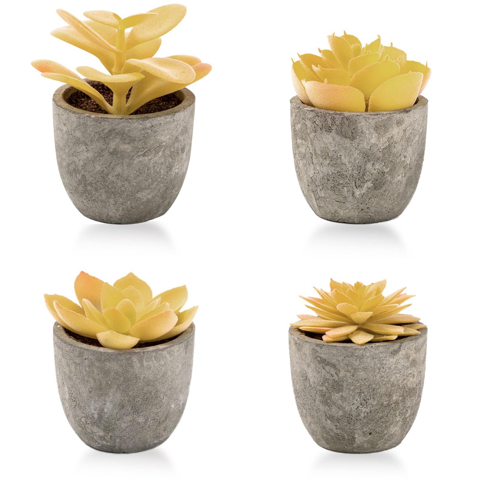 Jelofly Artificial Succulent Plants Potted, 4 Pcs Mini Fake Succulents ...