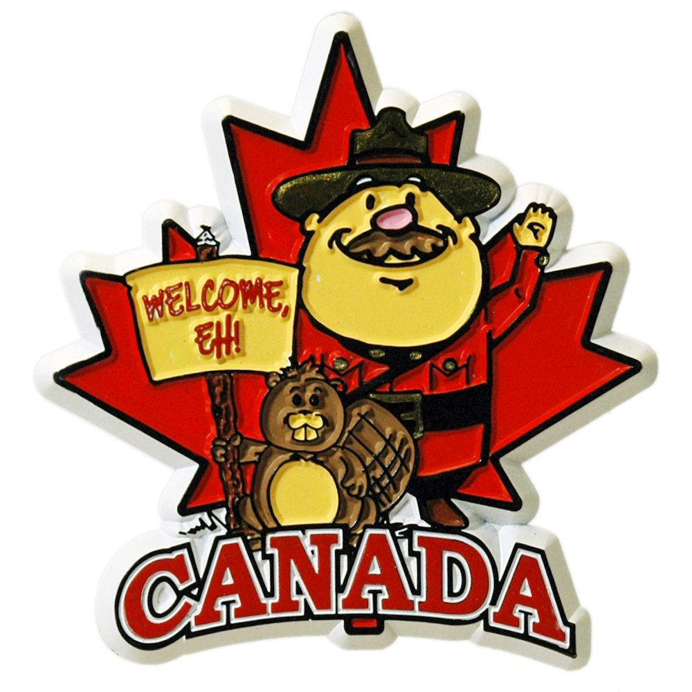 DAS COMPANIES CAN MAGNET 2D CARTOON - Walmart.com