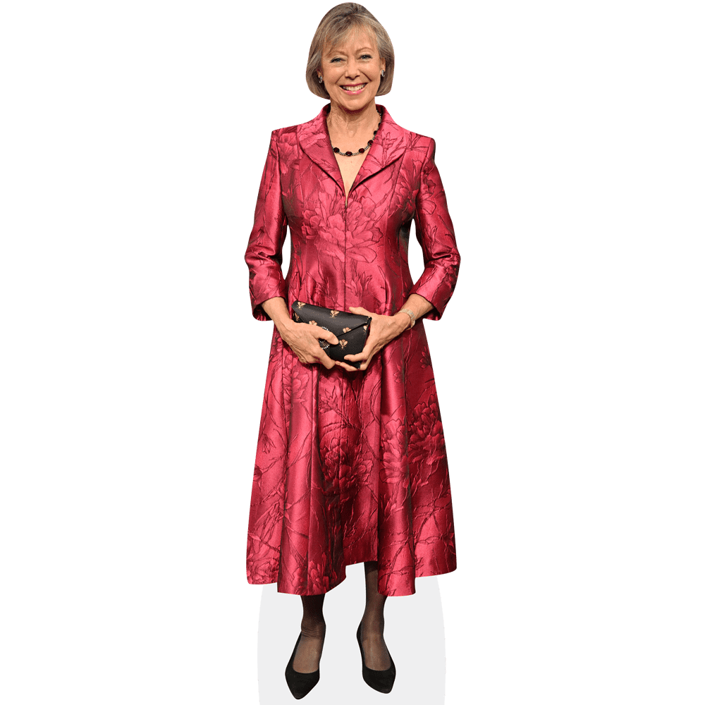 Jenny Agutter (Coat Dress) Mini Cardboard Cutout Standee - Walmart.com