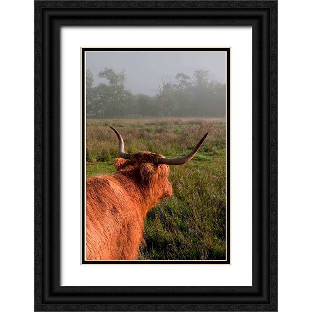 Jenny Rainbow Fine Art 11x14 Black Ornate Wood Framed with Double ...