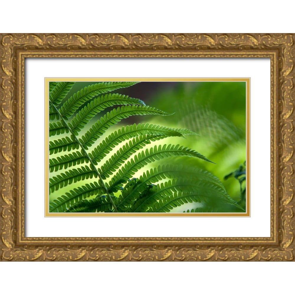 Jenny Rainbow Fine Art 14x11 Gold Ornate Wood Framed with Double ...