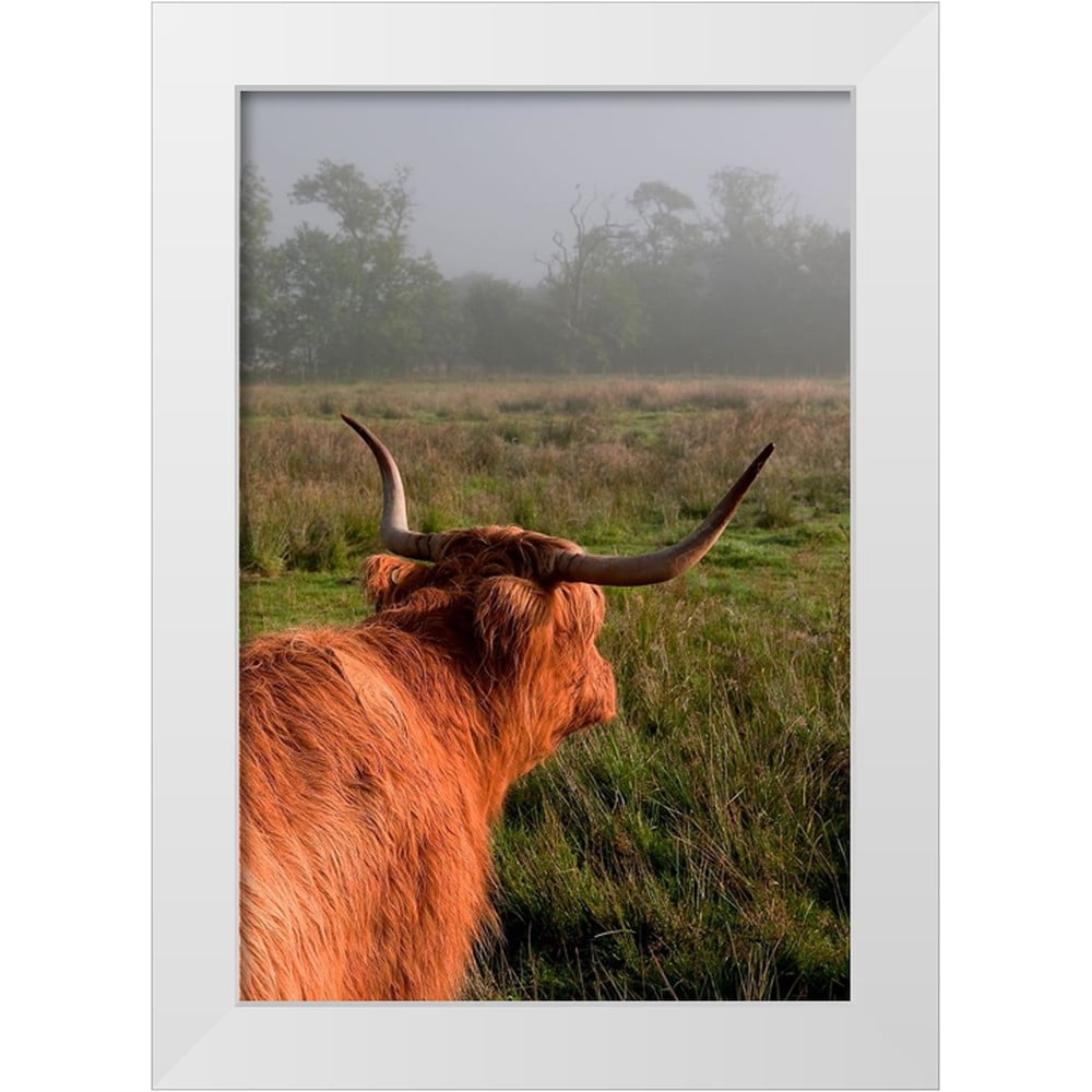 Jenny Rainbow Fine Art 17x24 White Modern Wood Framed Museum Art Print ...