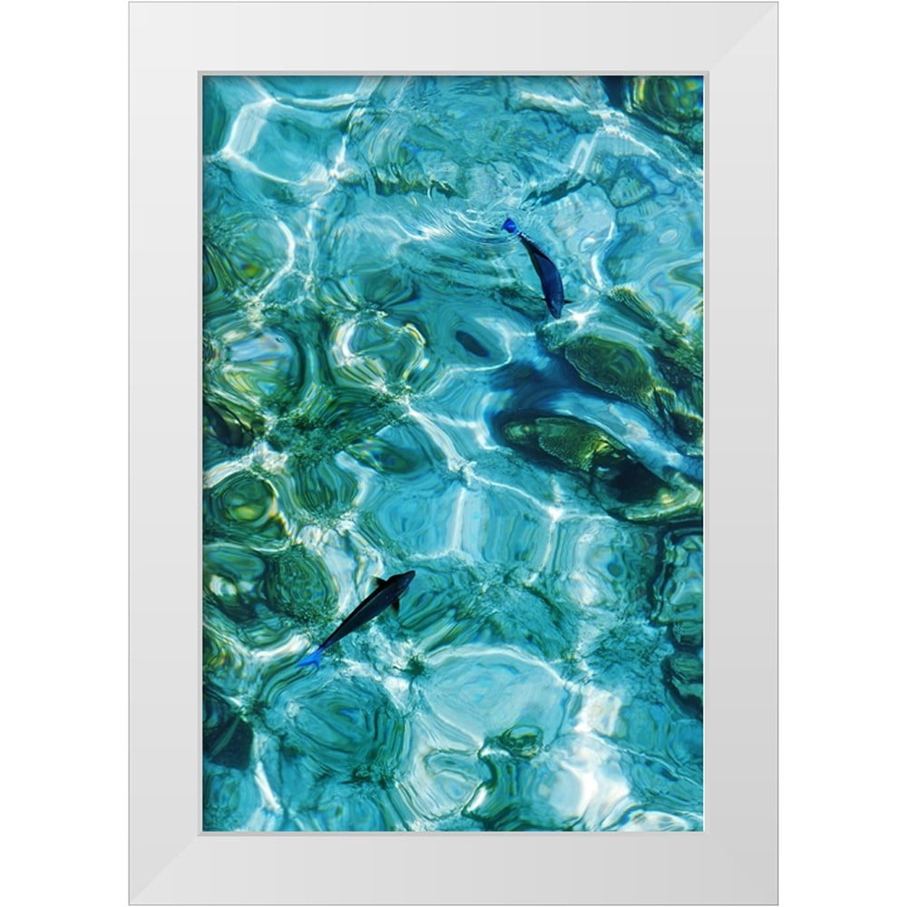 Jenny Rainbow Fine Art 17x24 White Modern Wood Framed Museum Art Print ...