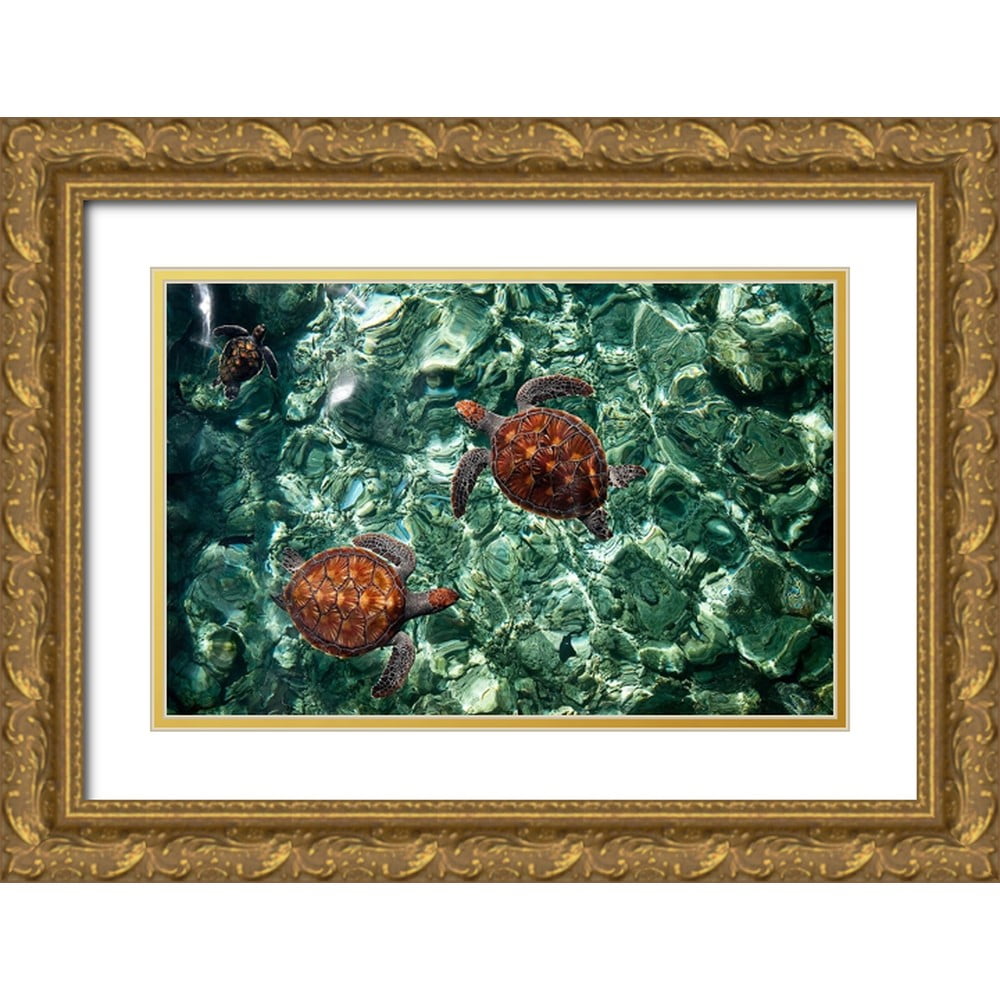 Jenny Rainbow Fine Art 18x13 Gold Ornate Wood Framed with Double ...