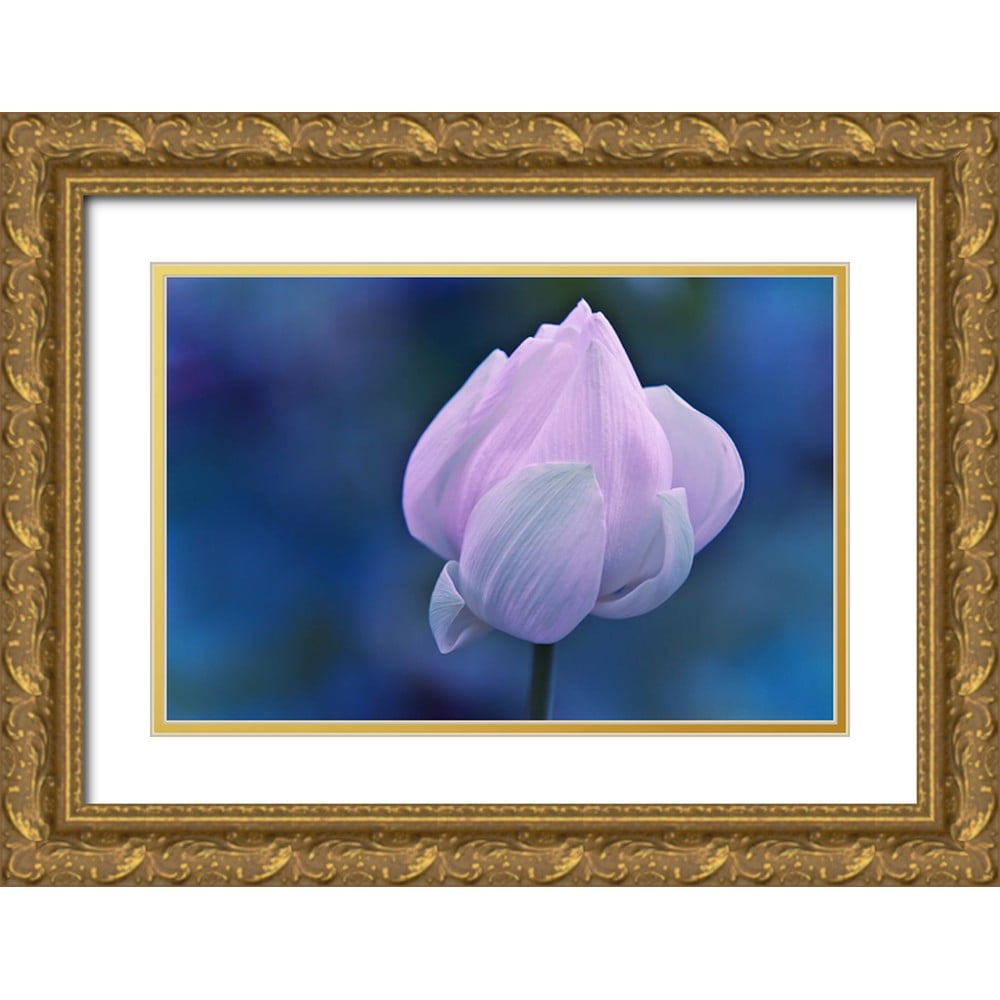 Jenny Rainbow Fine Art 18x13 Gold Ornate Wood Framed with Double ...