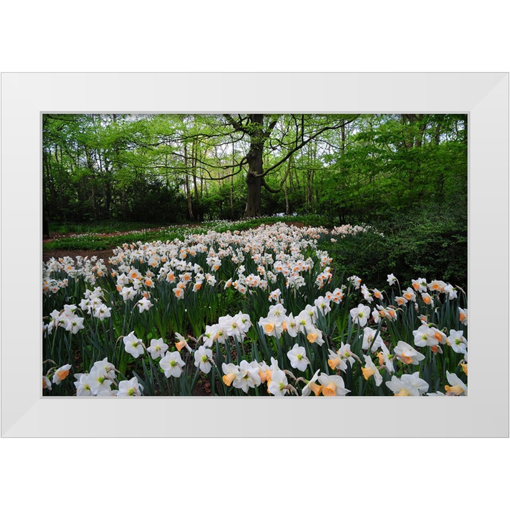 Jenny Rainbow Fine Art 32x23 White Modern Wood Framed Museum Art Print ...