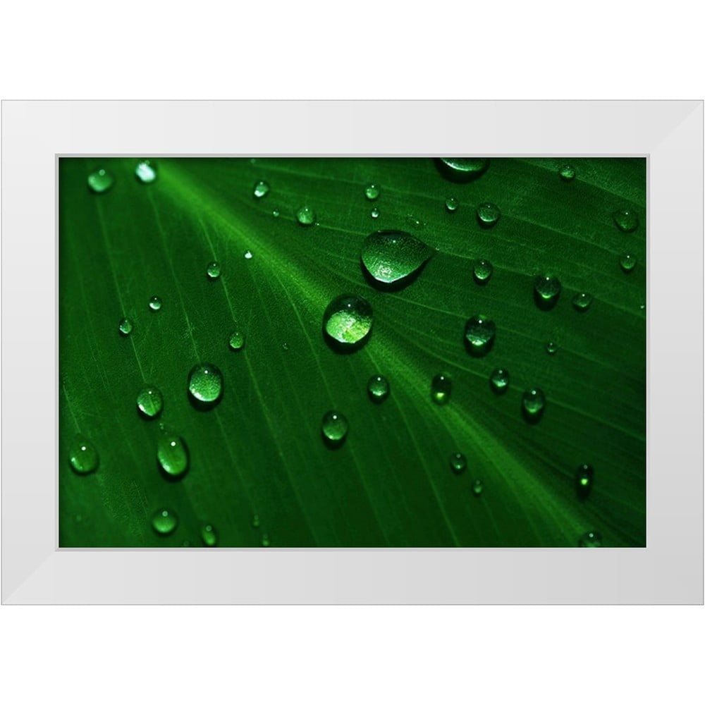 Jenny Rainbow Fine Art 32x23 White Modern Wood Framed Museum Art Print ...