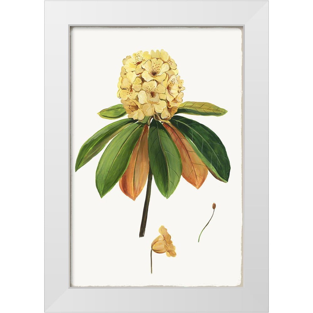 Jensen, Asia 11x14 White Modern Wood Framed Museum Art Print Titled ...