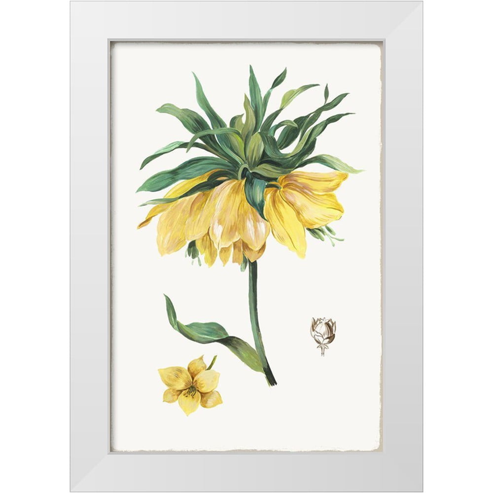 Jensen, Asia 11x14 White Modern Wood Framed Museum Art Print Titled ...