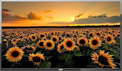Jensen JE5023 LED TFT 50" TV, AC Power, 1920 x 1080 Resolution ...