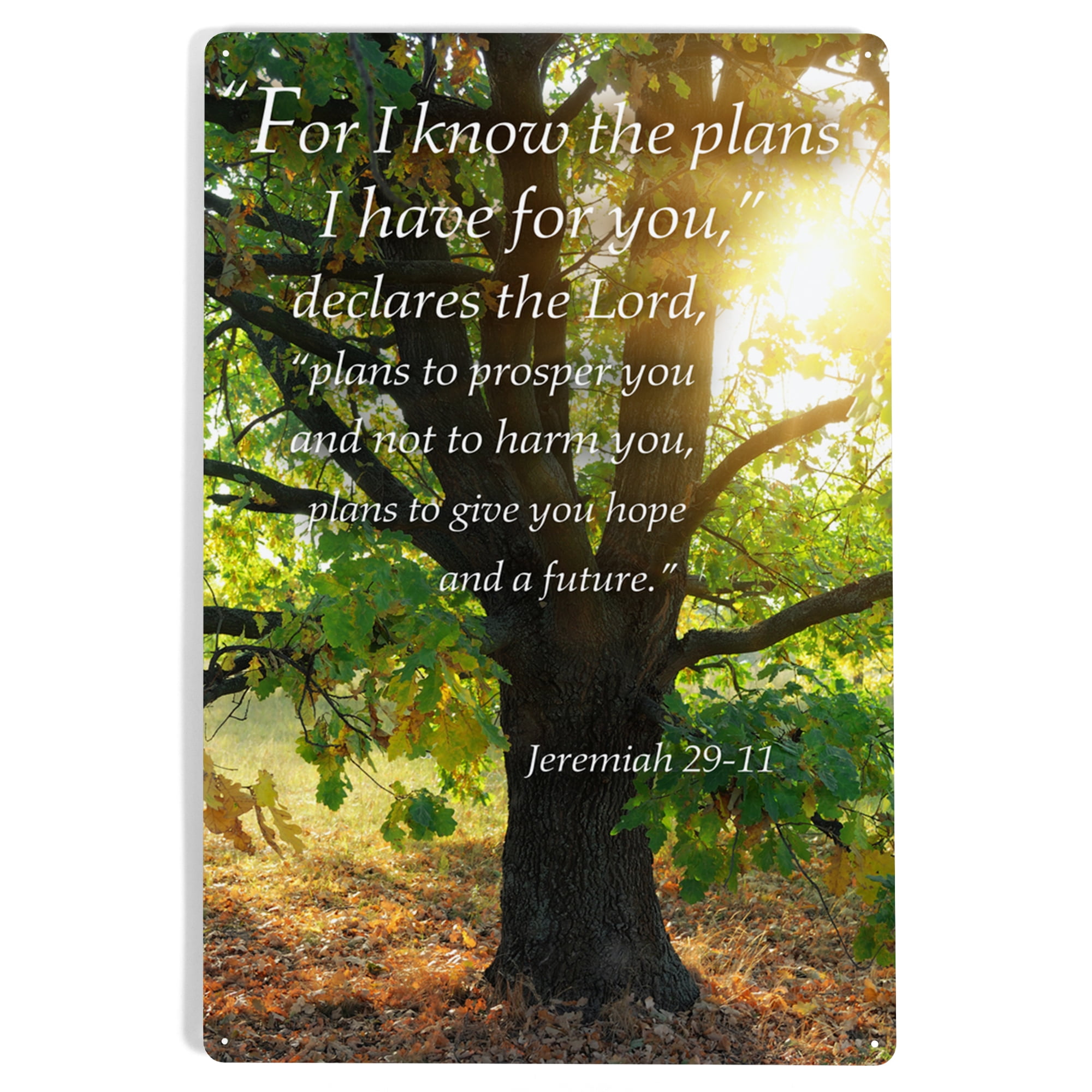 Jeremiah 29:11, Inspirational (12x18 Aluminum Art, Indoor Outdoor Metal ...
