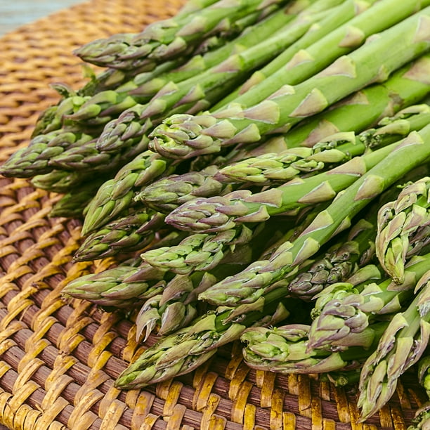 Jersey Giant Asparagus Standard Grade Dormant Bare Root Vegetable ...