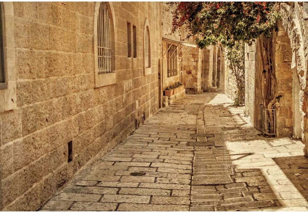Jerusalem Old Narrow Street Backdrop Old Jerusalem Stone Backdrop ...