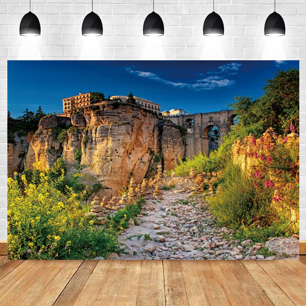 Jerusalem Photography Backdrop Tower David Old Ancient City Landmark ...