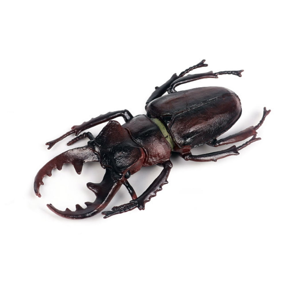 Jesscasday Plastic Figurines Animal Statue Home Decor Spider Beetle ...