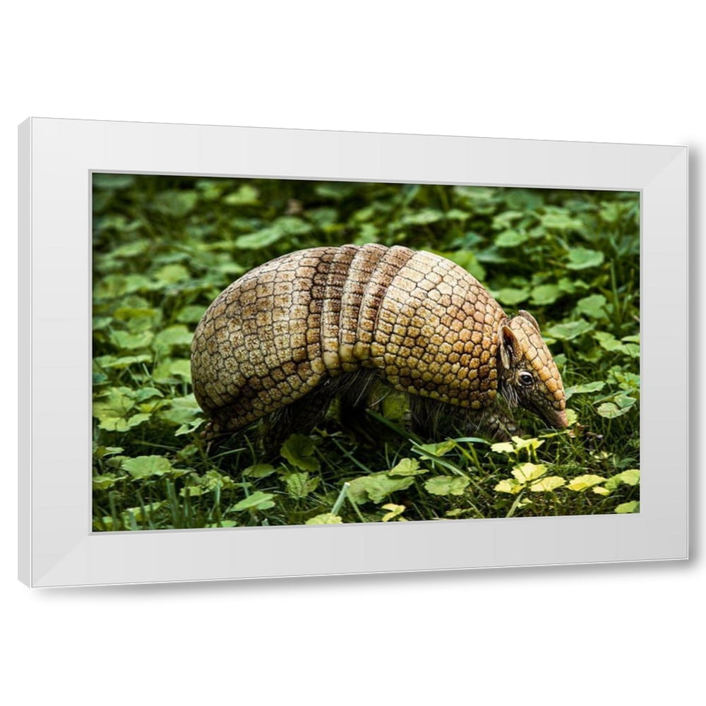 Jessie Cohen 4x14 White Modern Wood Framed Wall Art Titled - Three ...