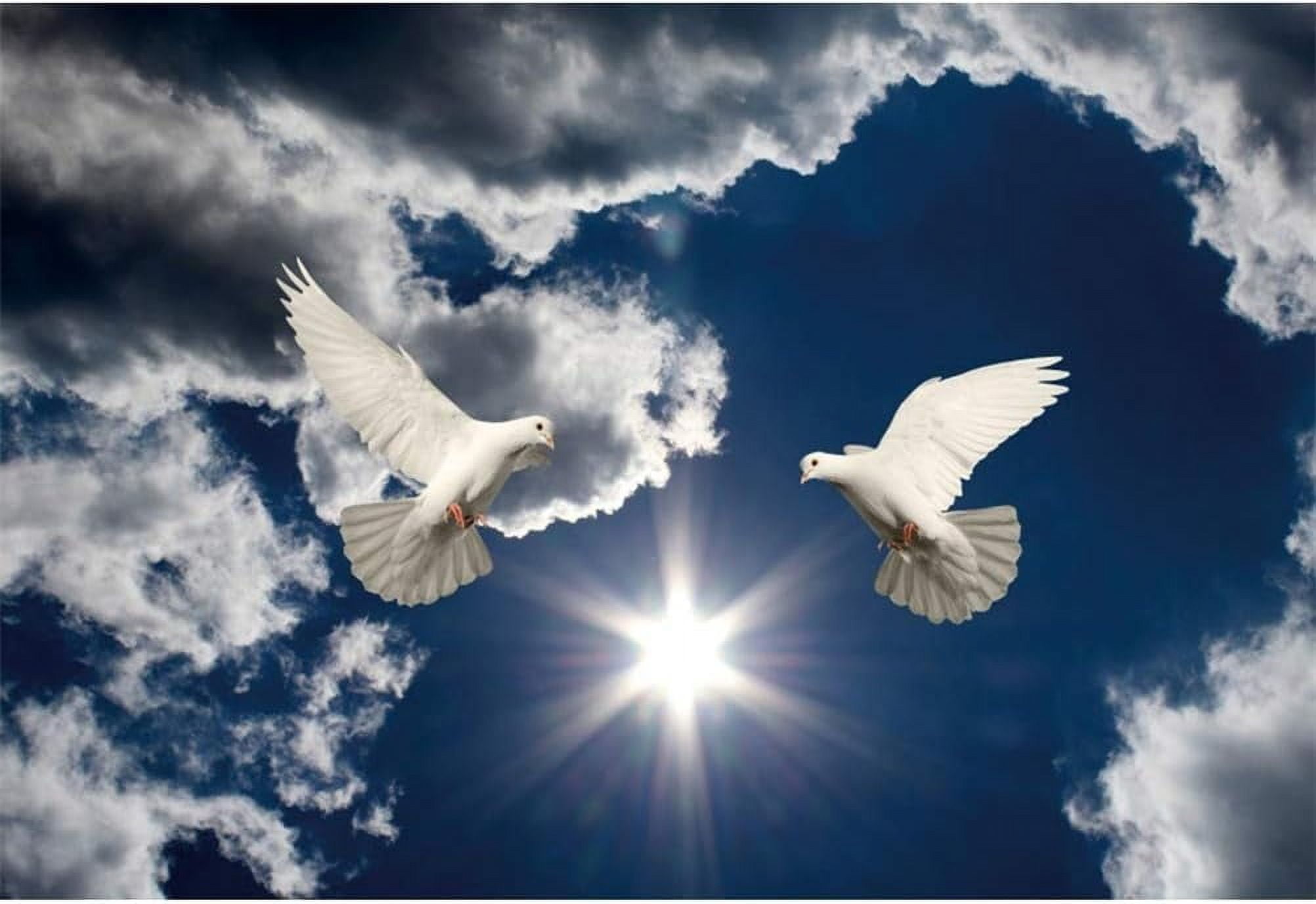 Jesus Christ Backdrop for Photography Blue Sky White Clouds Doves in ...
