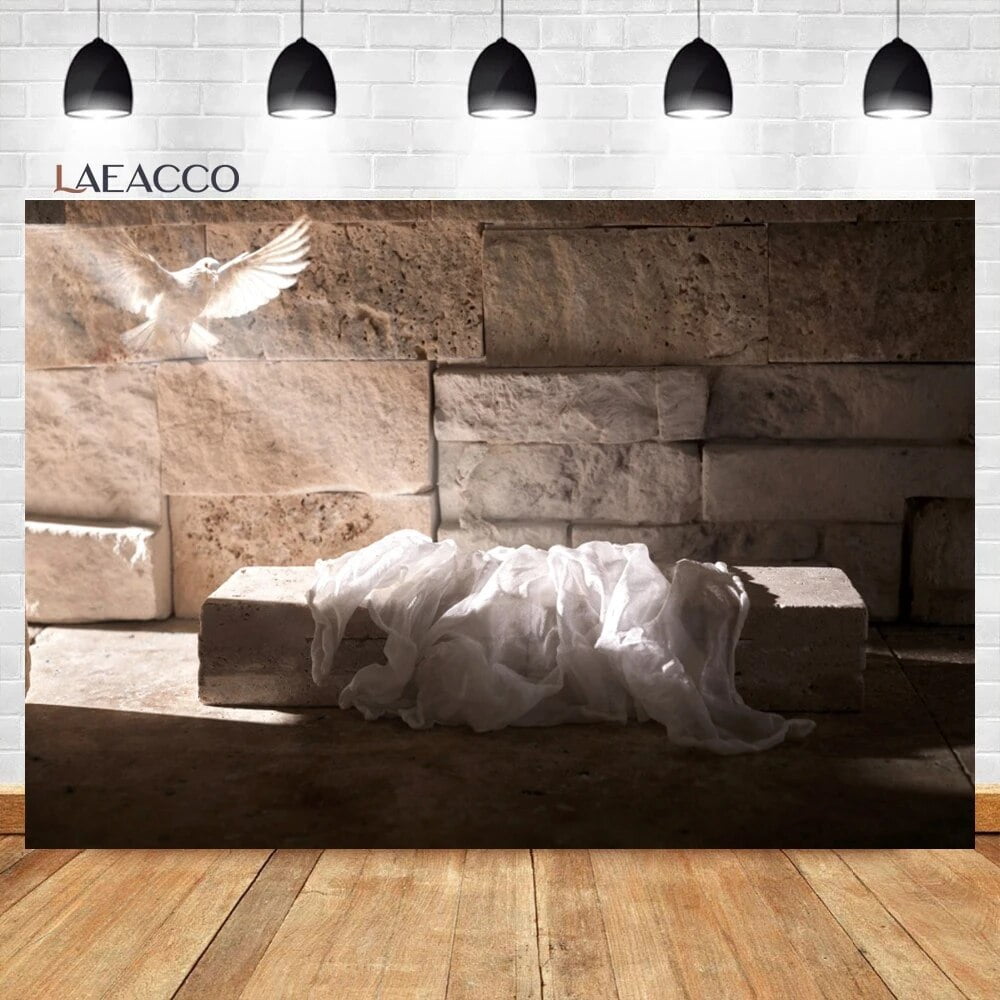 Jesus Christ Cross Backdrop Holy Light Beams Dove Peace Symbolic Church ...