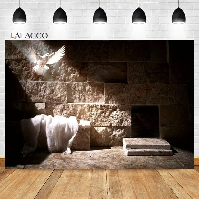 Jesus Christ Cross Backdrop Holy Light Beams Dove Peace Symbolic Church ...