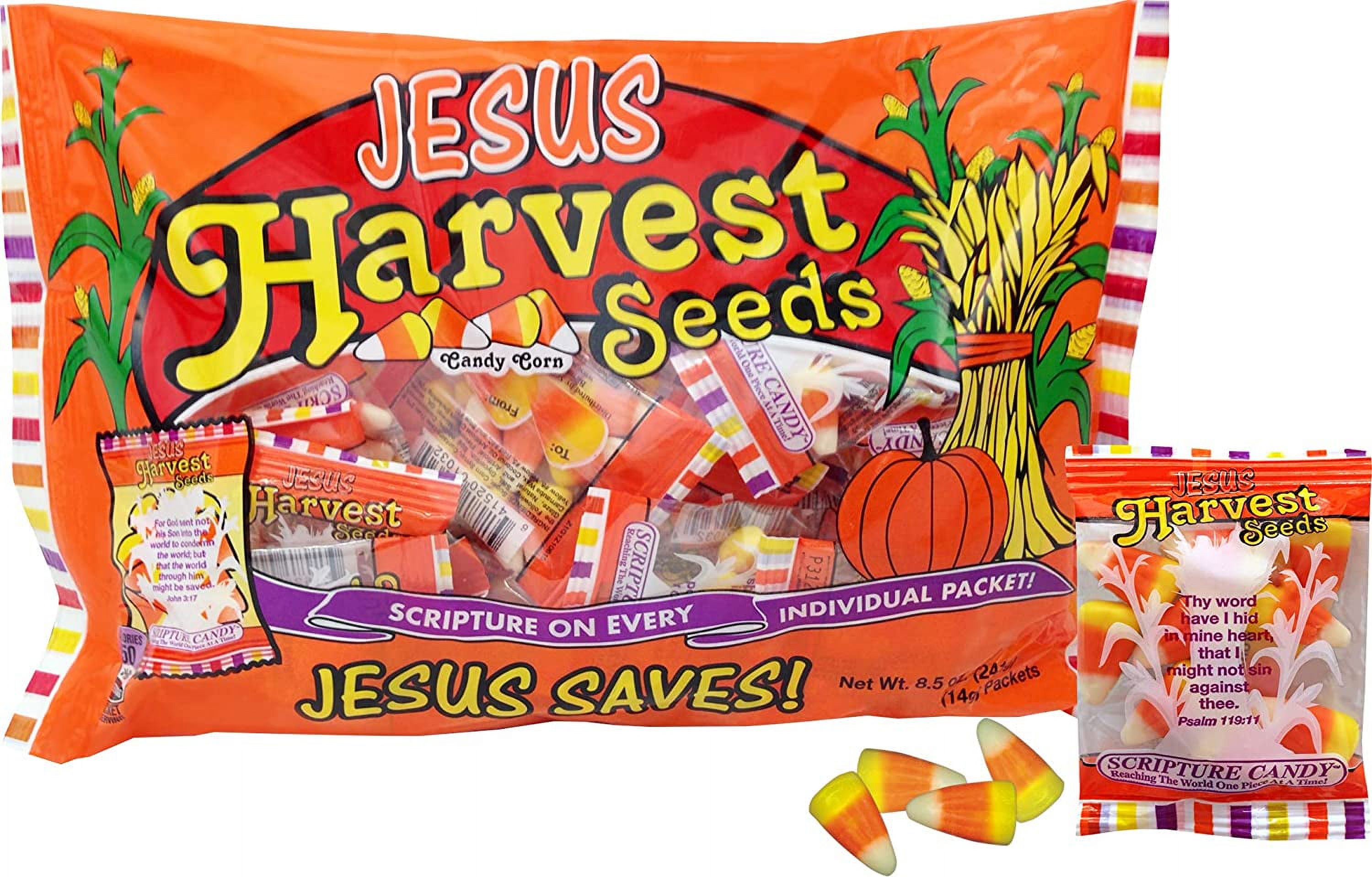 Jesus Harvest Orange Yellow & White Corn Promise Seeds 15 Count ...