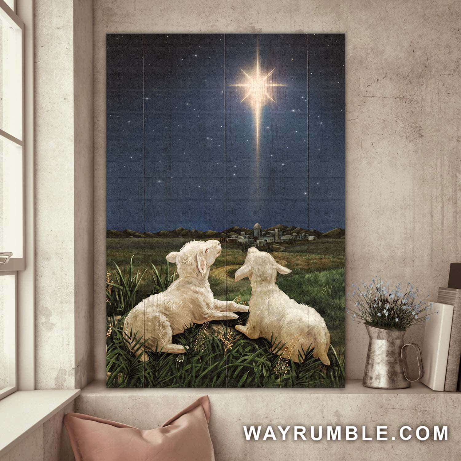 Jesus, Lamb of God, Star of Bethlehem - Lambs look at the light ...