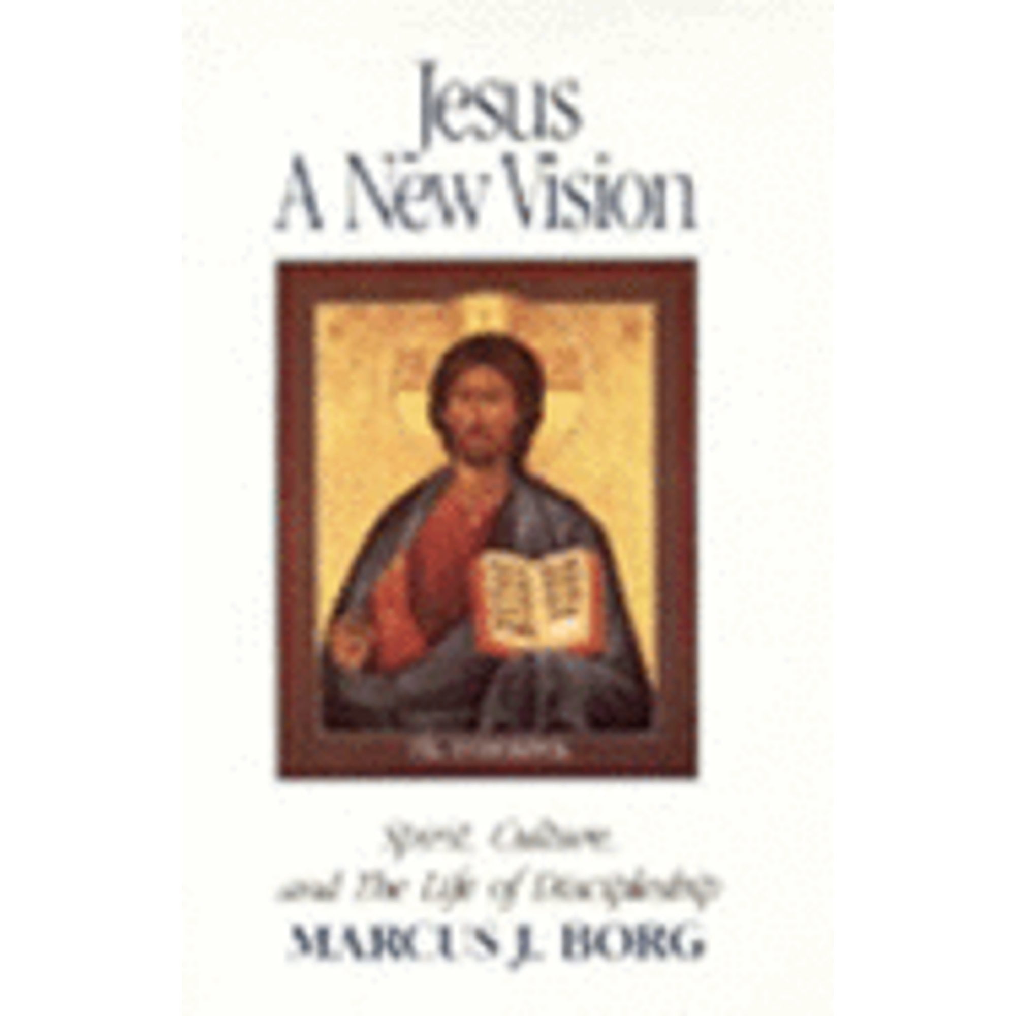 Jesus, a New Vision: Spirit, Culture, and the Life of Discipleship ...