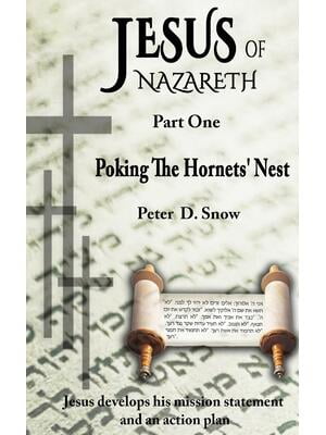 Jesus of Nazareth : Poking the Hornets' Nest: Jesus Develops His ...
