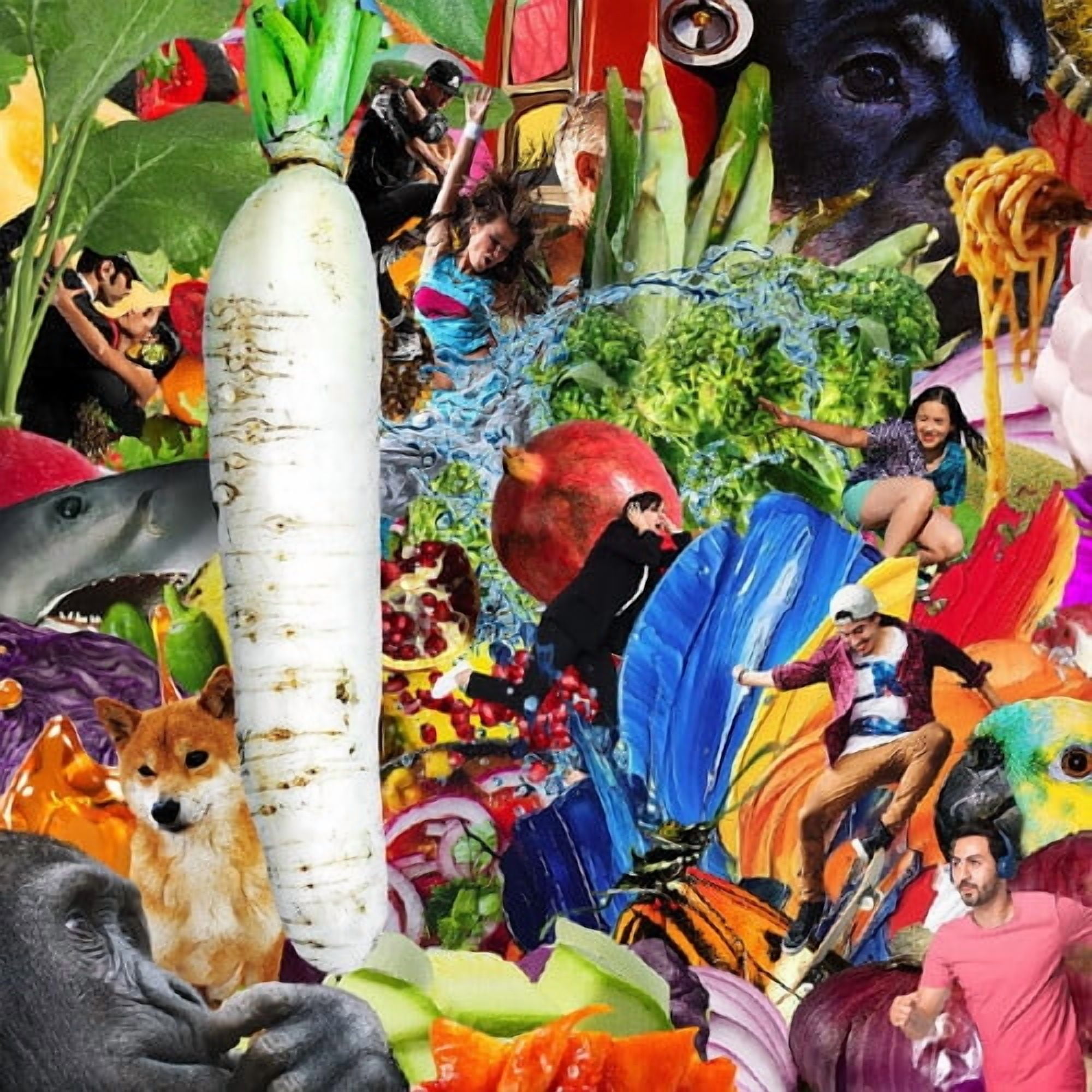 Jetski - The Radiant Radish - Music & Performance - Cassette - Walmart.com