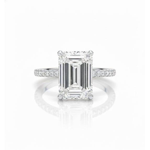 Jewelerix Hidden Halo Moissanite Engagement Ring 10K White Gold Vermeil ...