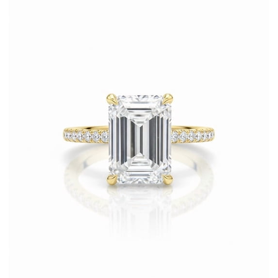 Jewelerix Hidden Halo Moissanite Engagement Ring 10K White Gold Vermeil ...