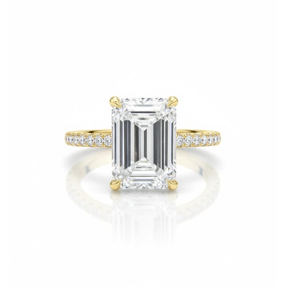 Jewelerix Hidden Halo Moissanite Engagement Ring 10K White Gold Vermeil ...