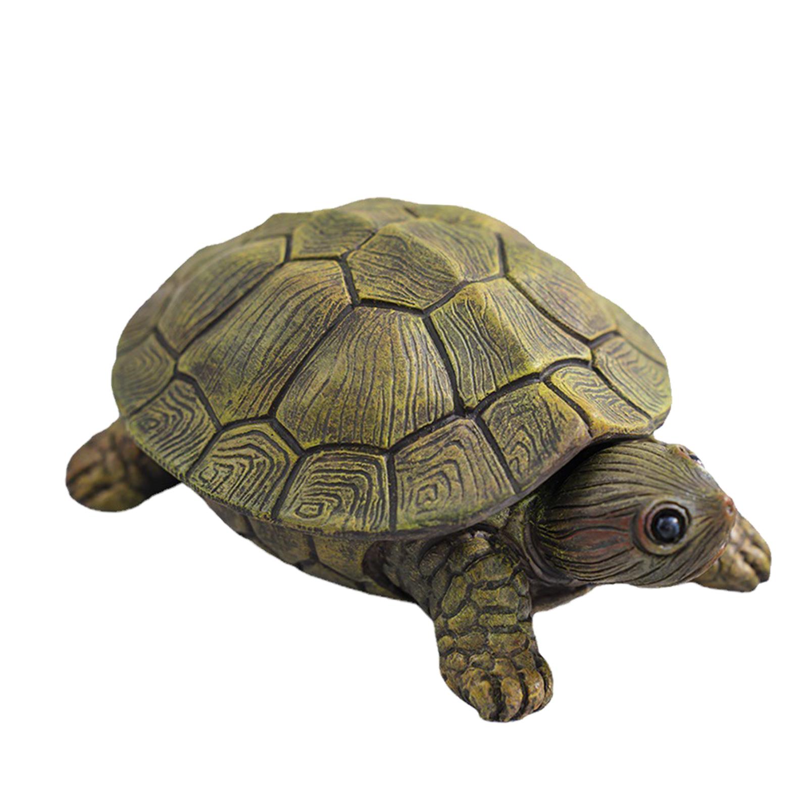 Siamese Turtle