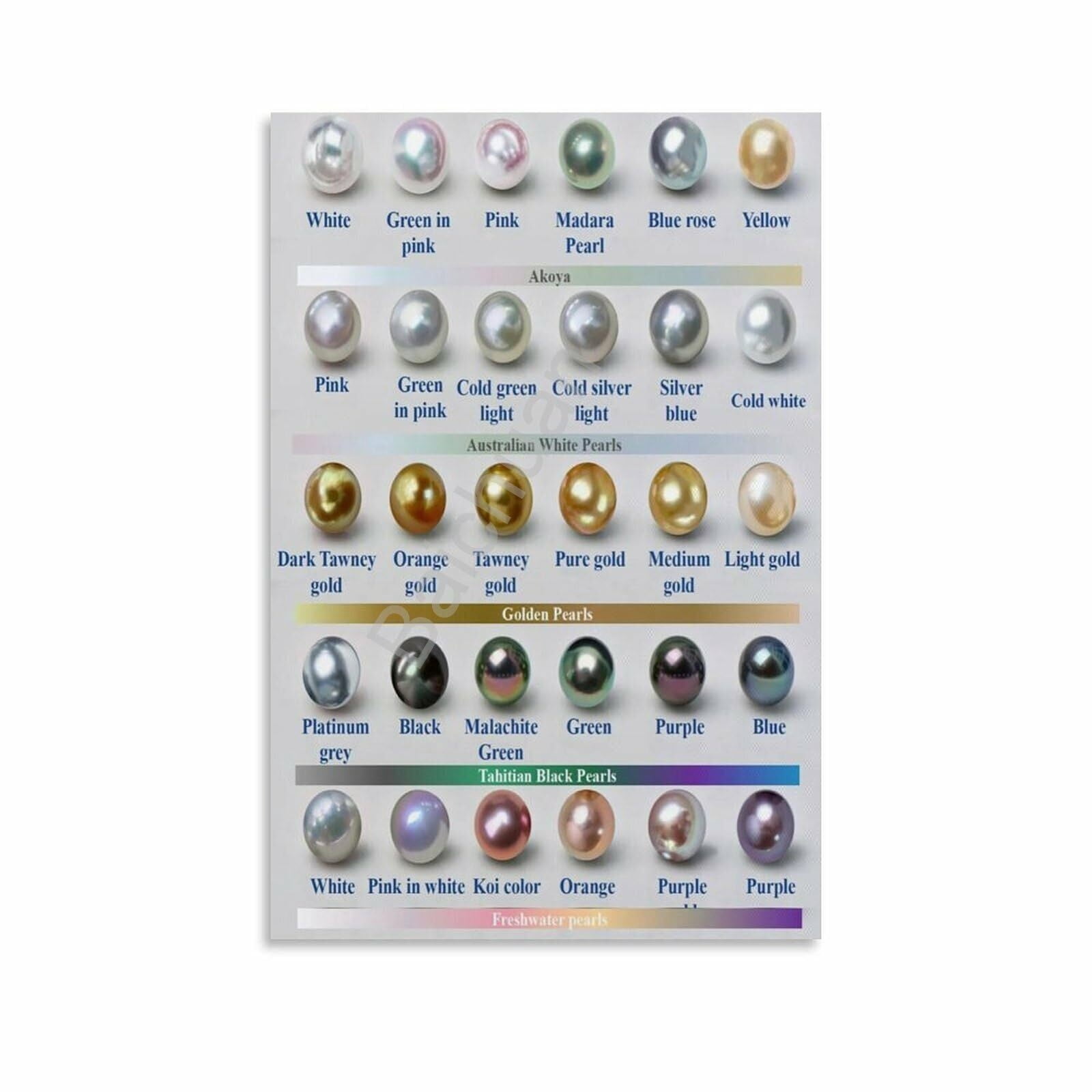 Jewelry Store Wall Decor Posters Types Colors of Pearls (1) Canvas ...
