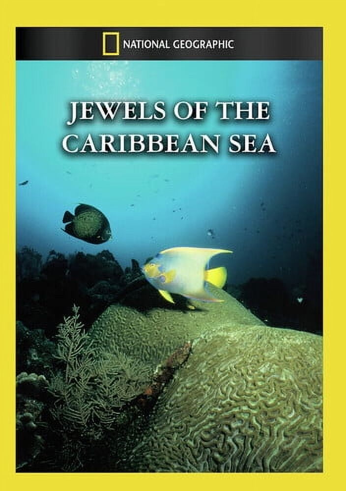 Jewels of the Caribbean Sea (DVD), National Geographic, Documentary ...