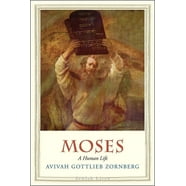 Springer Monographs in Mathematics: Algebraic Patching (Hardcover ...