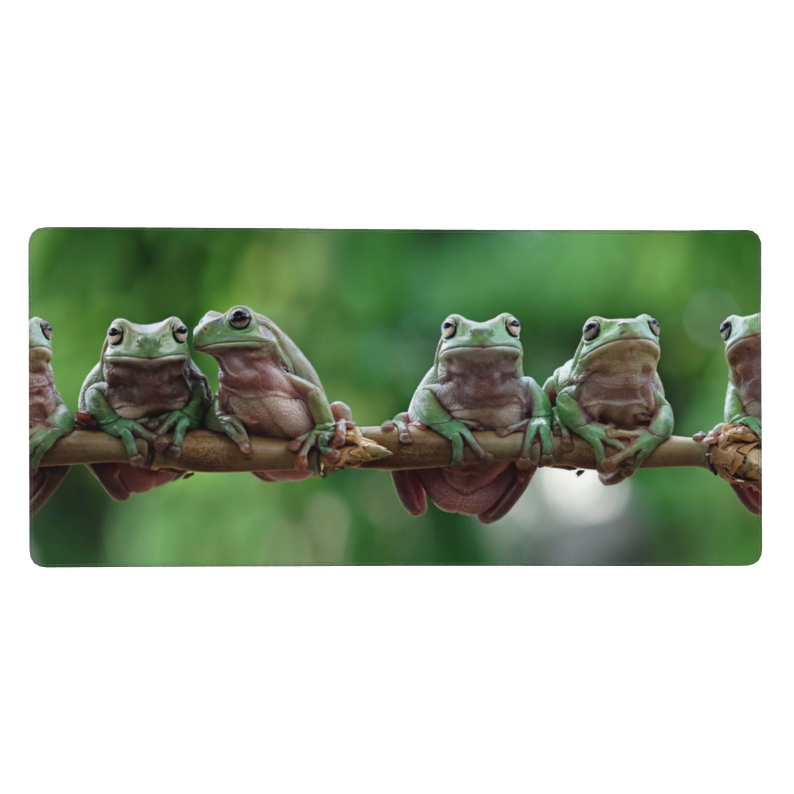 Jgfou Australian White Tree Frog Sitting on Branch Pattern 16x35.5in in ...