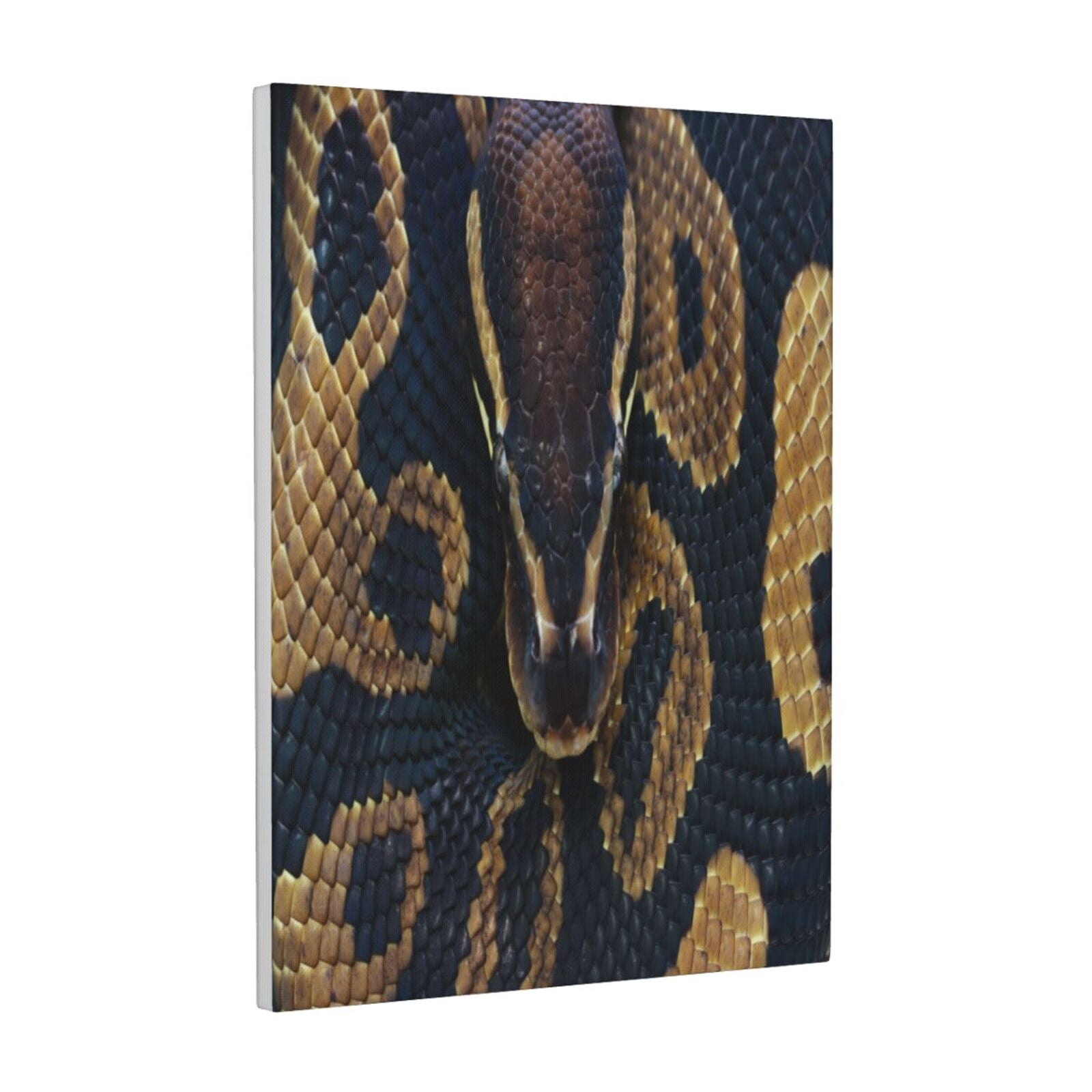 Jgfou Ball Phyton Snake Print Picture Farmhouse Wall Decorative Poster ...