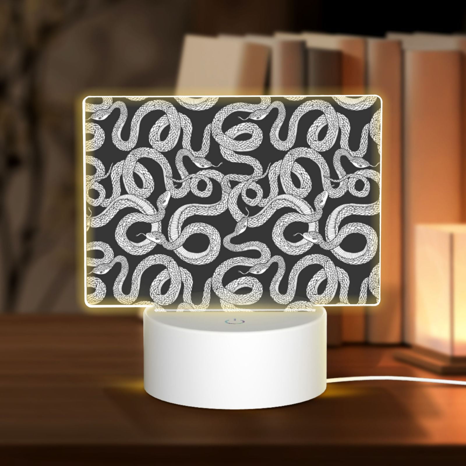 Jgfou Snake Rectangular Acrylic Night Light with USB Port, Colorful ...