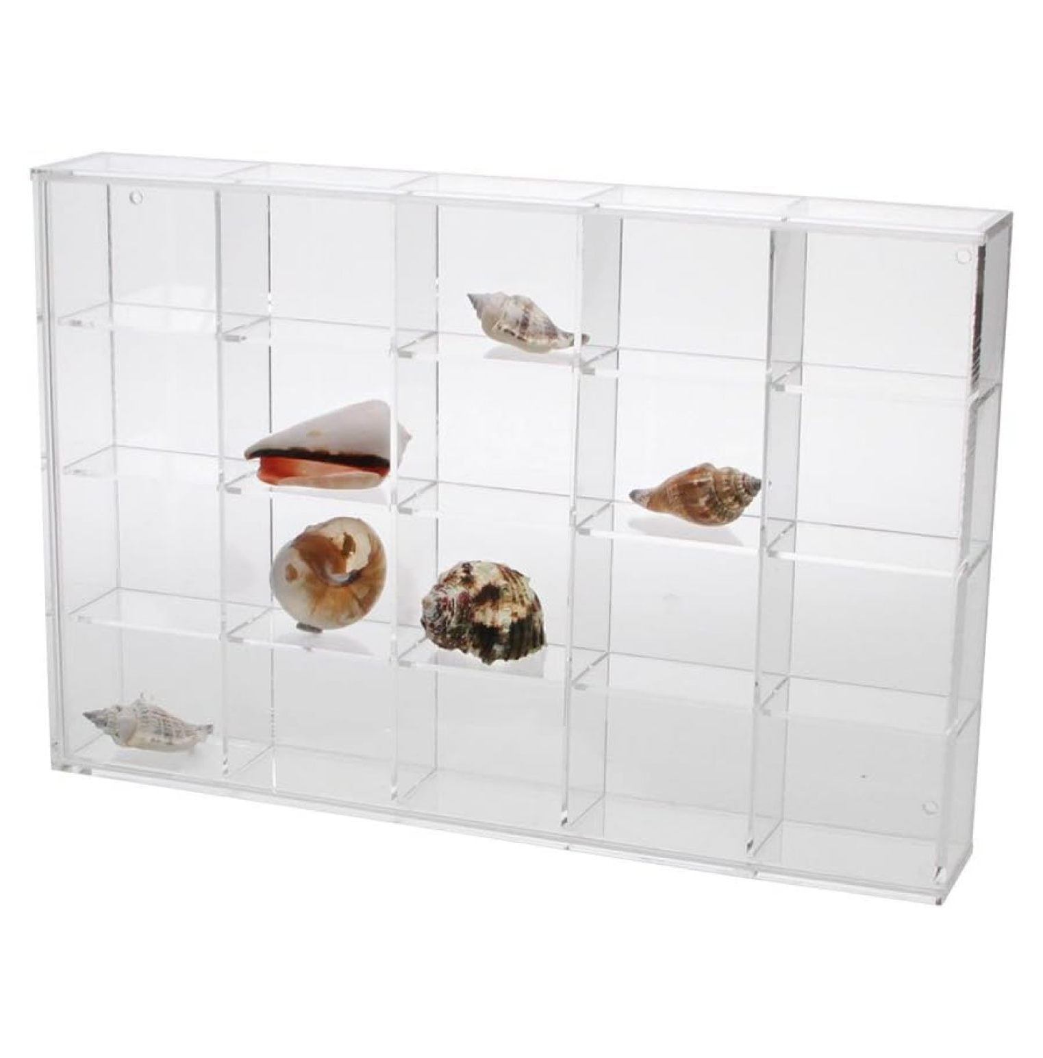 Jia ma sha Seashell Display Case - Medium 20 Compartments - Walmart.com