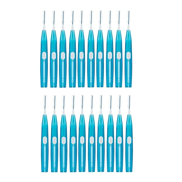 Dental Proxy Brushes