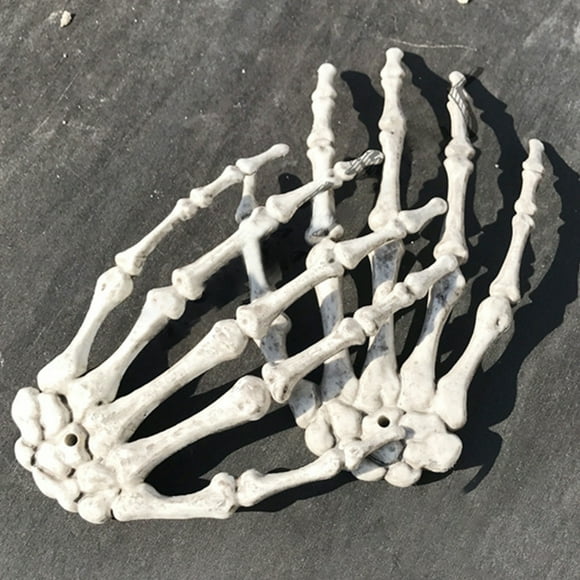 Skeleton Hands