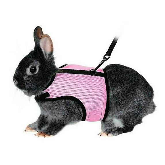 Jibingyi Harness with Lead for Rabbits Bunny Little Pets - Size XL(Pink ...