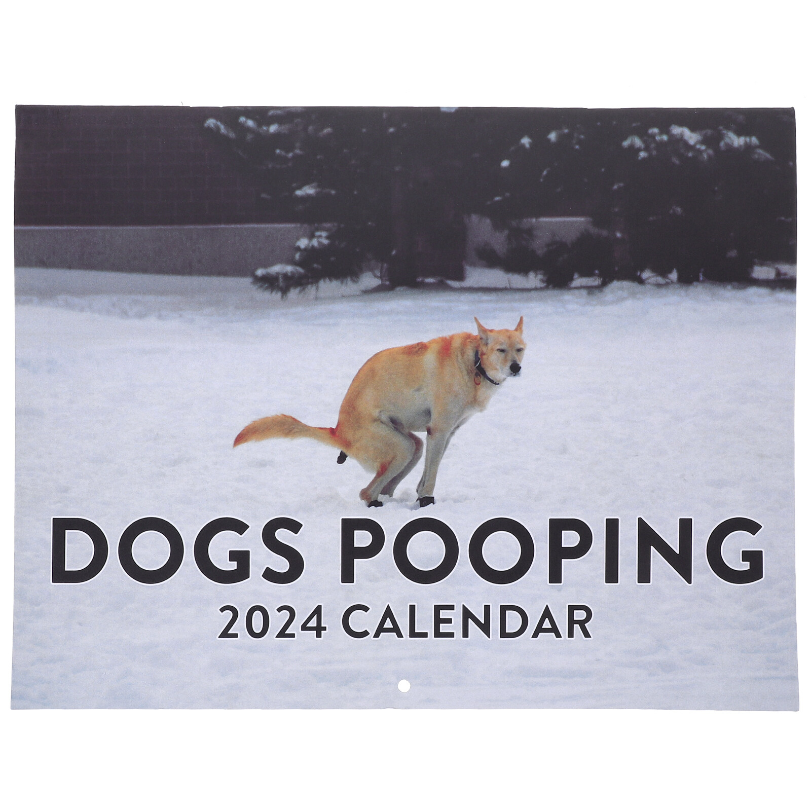 Jibingyi Wall 2024 Calendar Planning Calendar Wall Calendar for ...