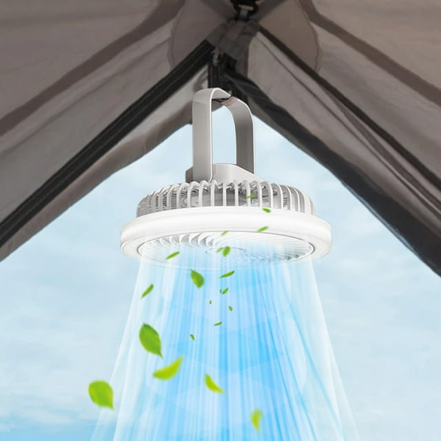 Jienlioq Misting Fans for Outside,Ceiling Fan With Lights Enclosed Low ...