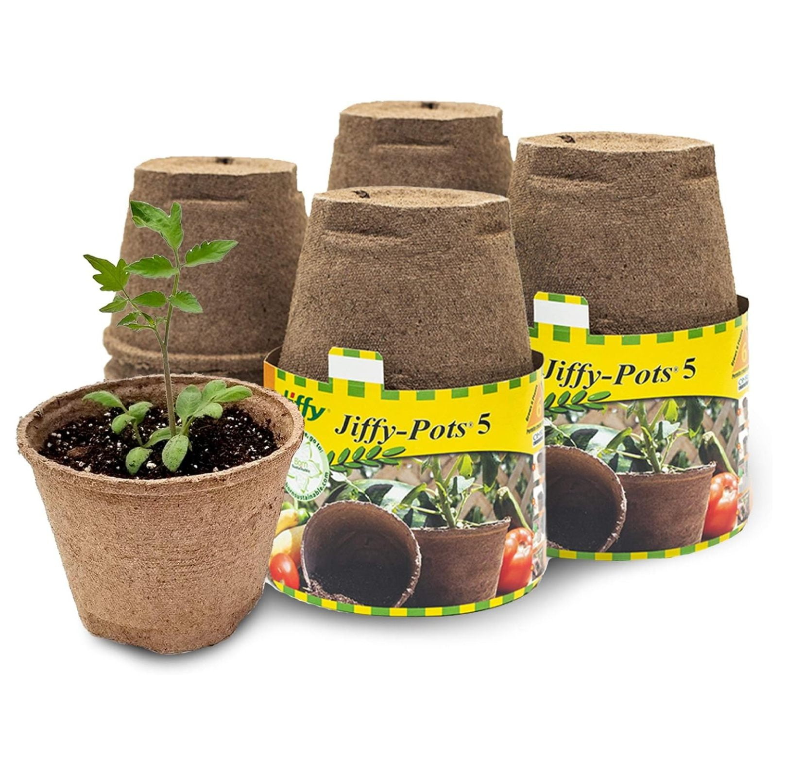Jiffy-Pots Organic Seed Starting 5" Biodegradable Peat Pots, 6 Count, 4 ...