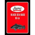 Jigging World Black Sea Bass Gold 2-Hook Hi-Lo Rig - 2/0 - Walmart.com