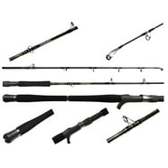 Jigging World Raptor Casting Rods - Walmart.com