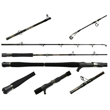 Jigging World Raptor Casting Rods - Walmart.com